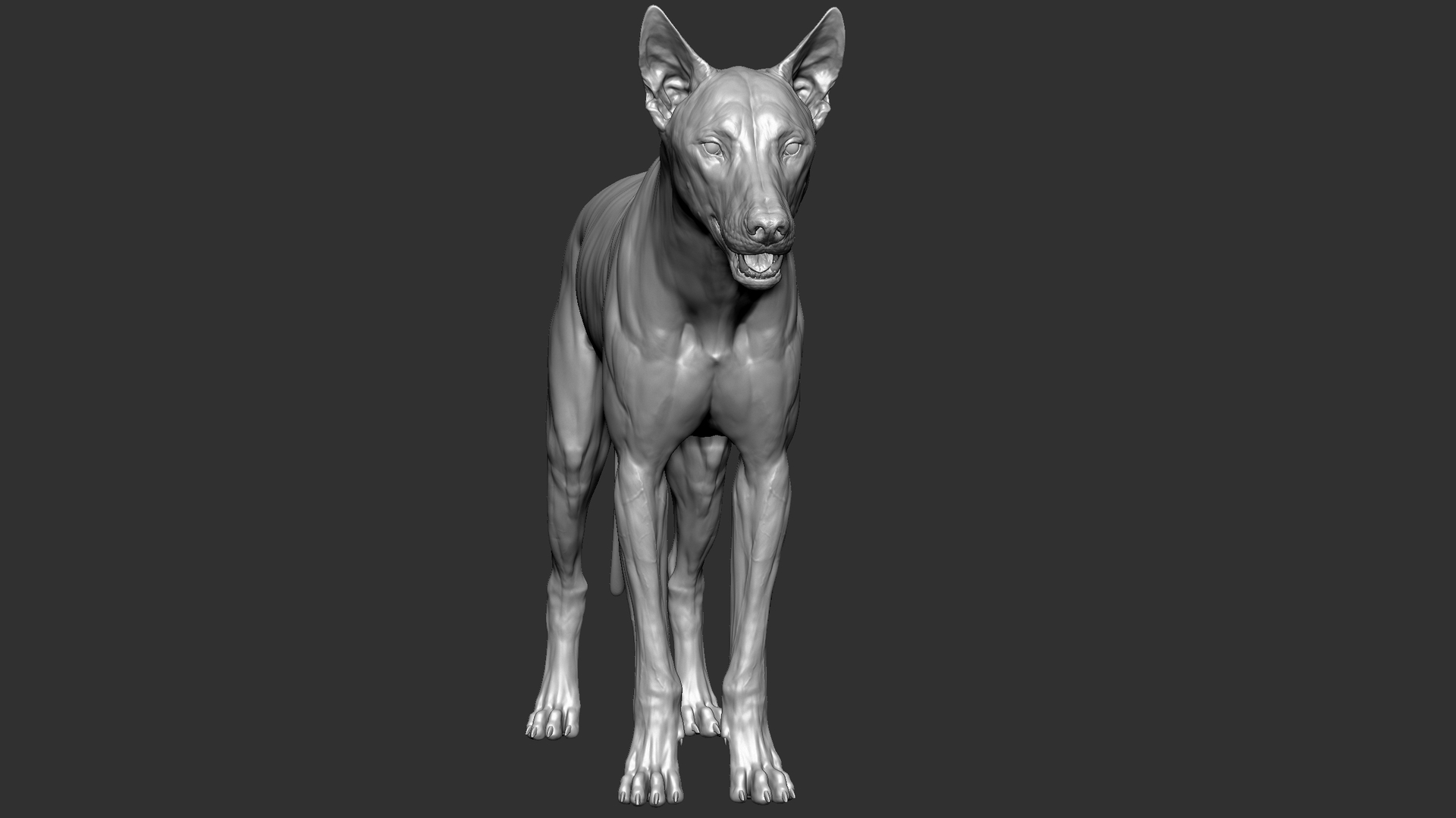 3D wolf zbrush - TurboSquid 1635785