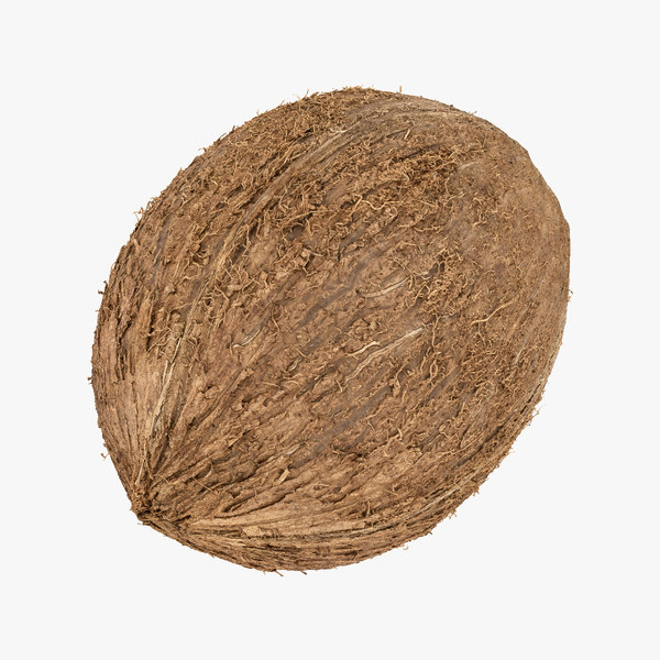 3D Coconut Models | TurboSquid