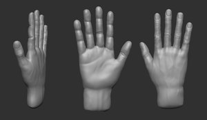 Hand STL Models for Download | TurboSquid