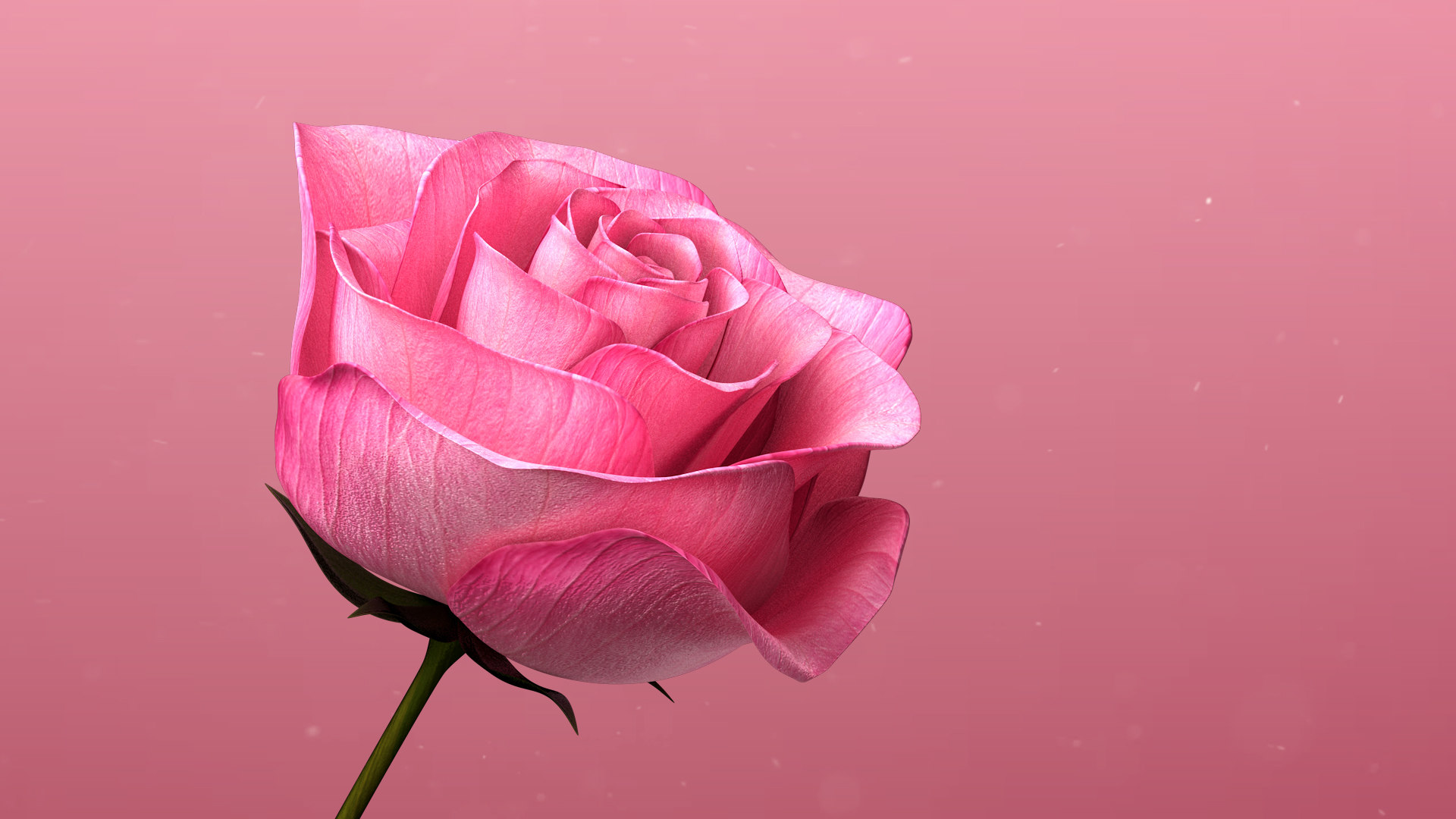 Rose blooming animation 3D - TurboSquid 1643622