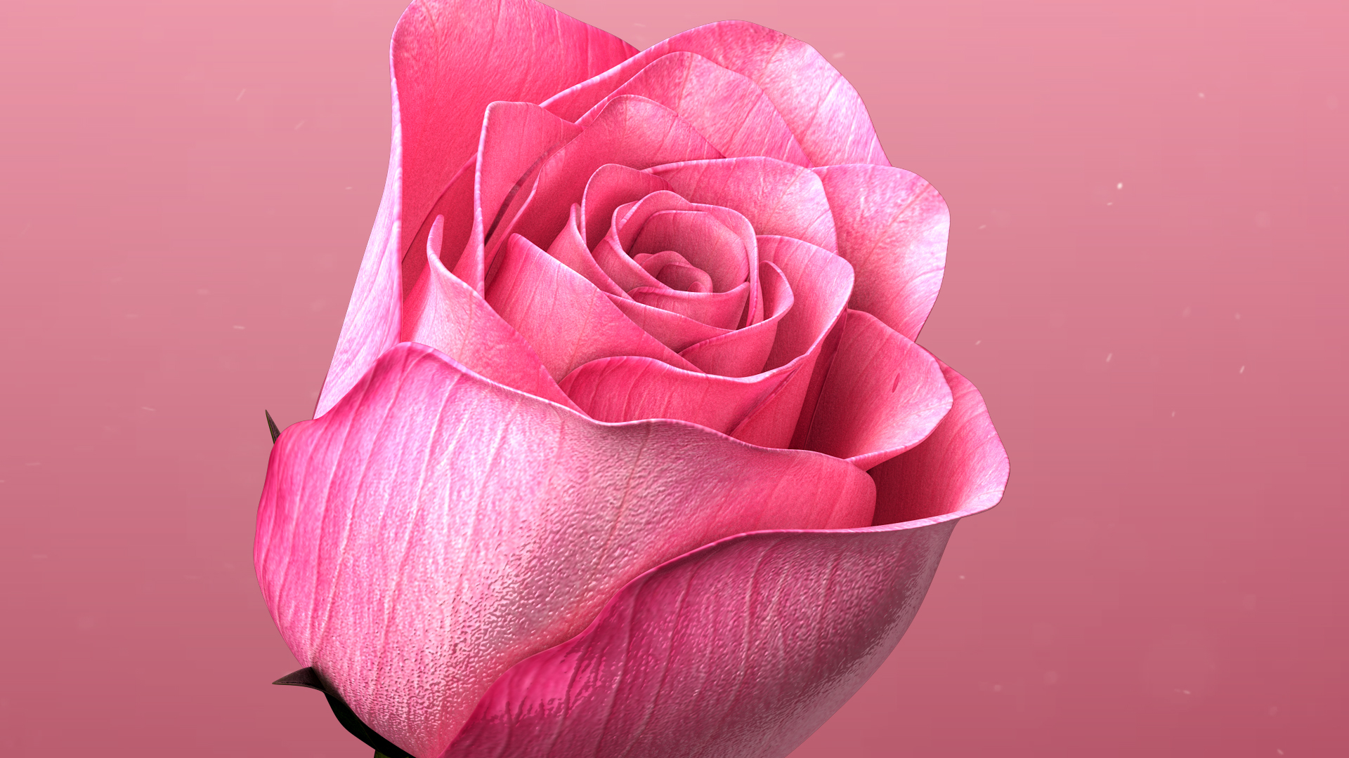 Rose blooming animation 3D - TurboSquid 1643622