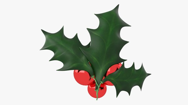 3D holly decoration model - TurboSquid 1643641