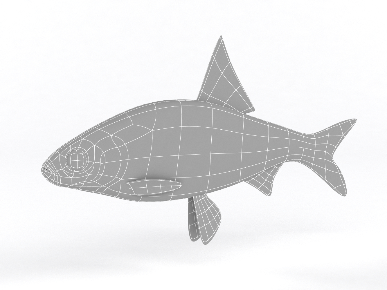 Roach fish 3D - TurboSquid 1643855