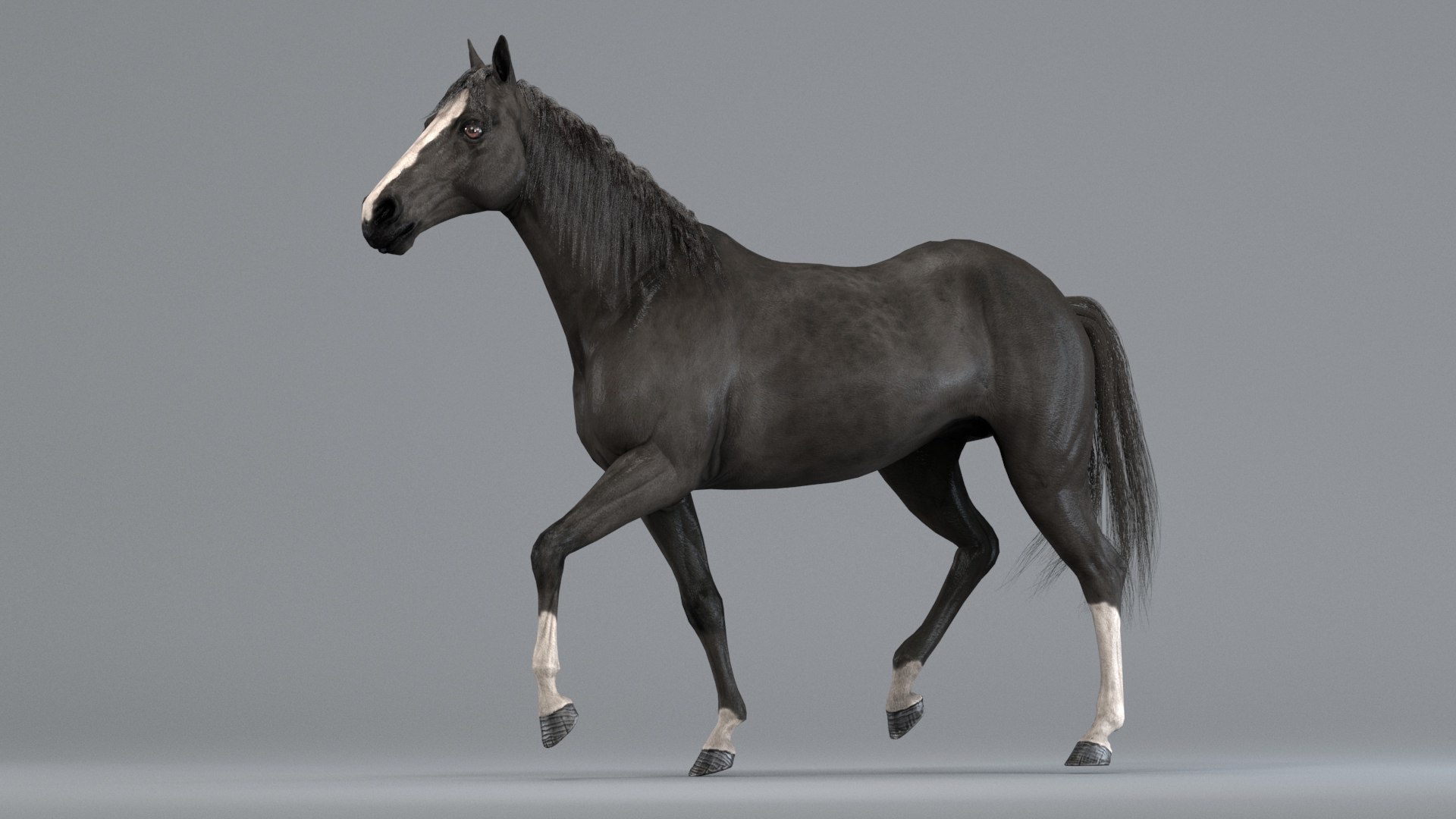 3D realistic horse animation - TurboSquid 1644334