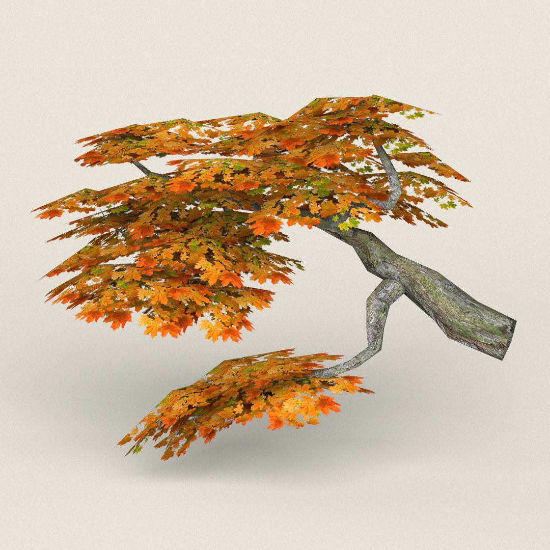 3D maple tree - TurboSquid 1644701