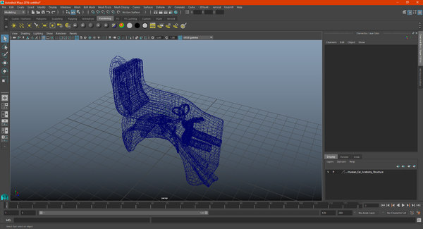 3D model human ear anatomy structure - TurboSquid 1645933