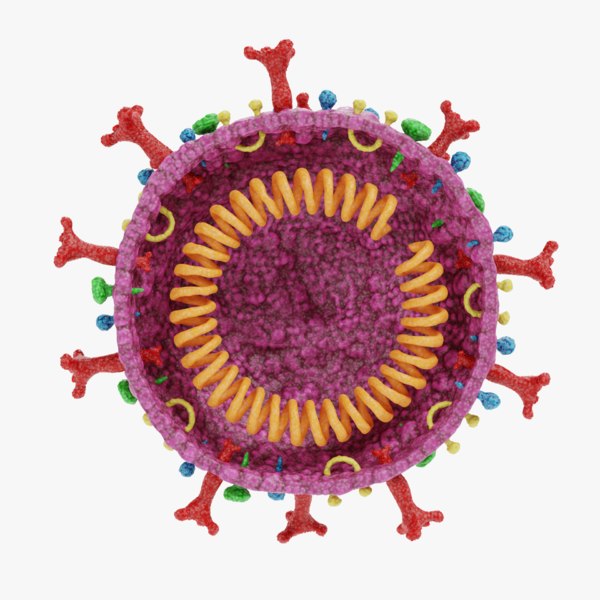 3D Virus Models | TurboSquid