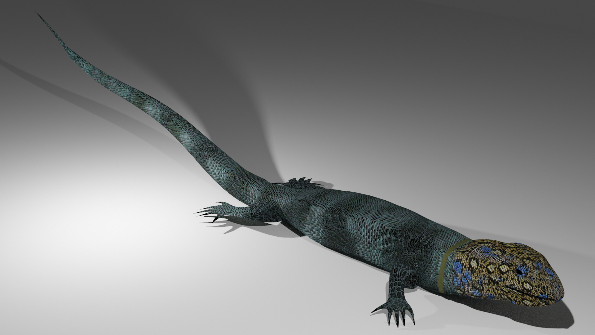 3D lizard rigged animations model - TurboSquid 1646293