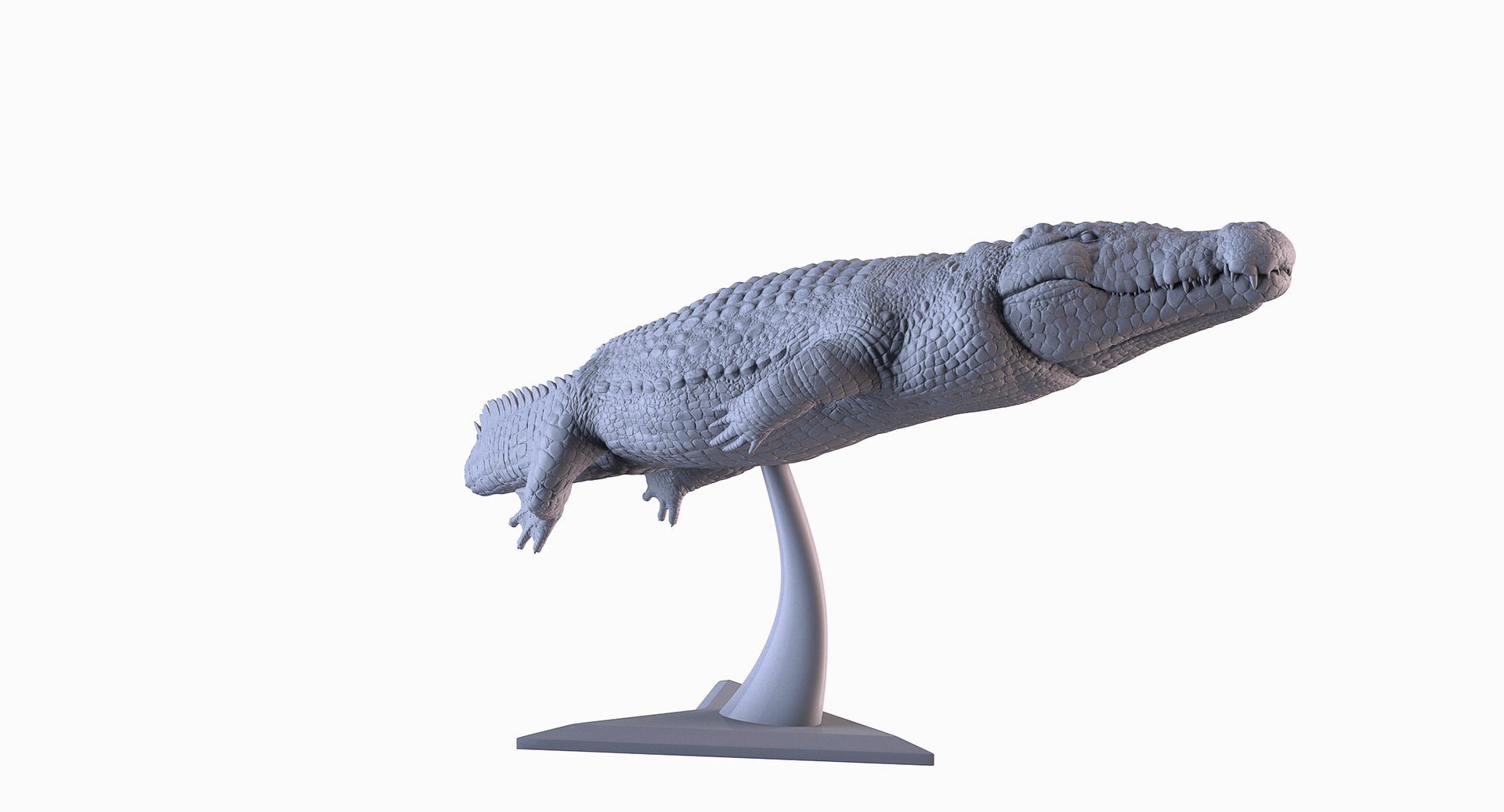 Crocodile printing 3D model - TurboSquid 1647366