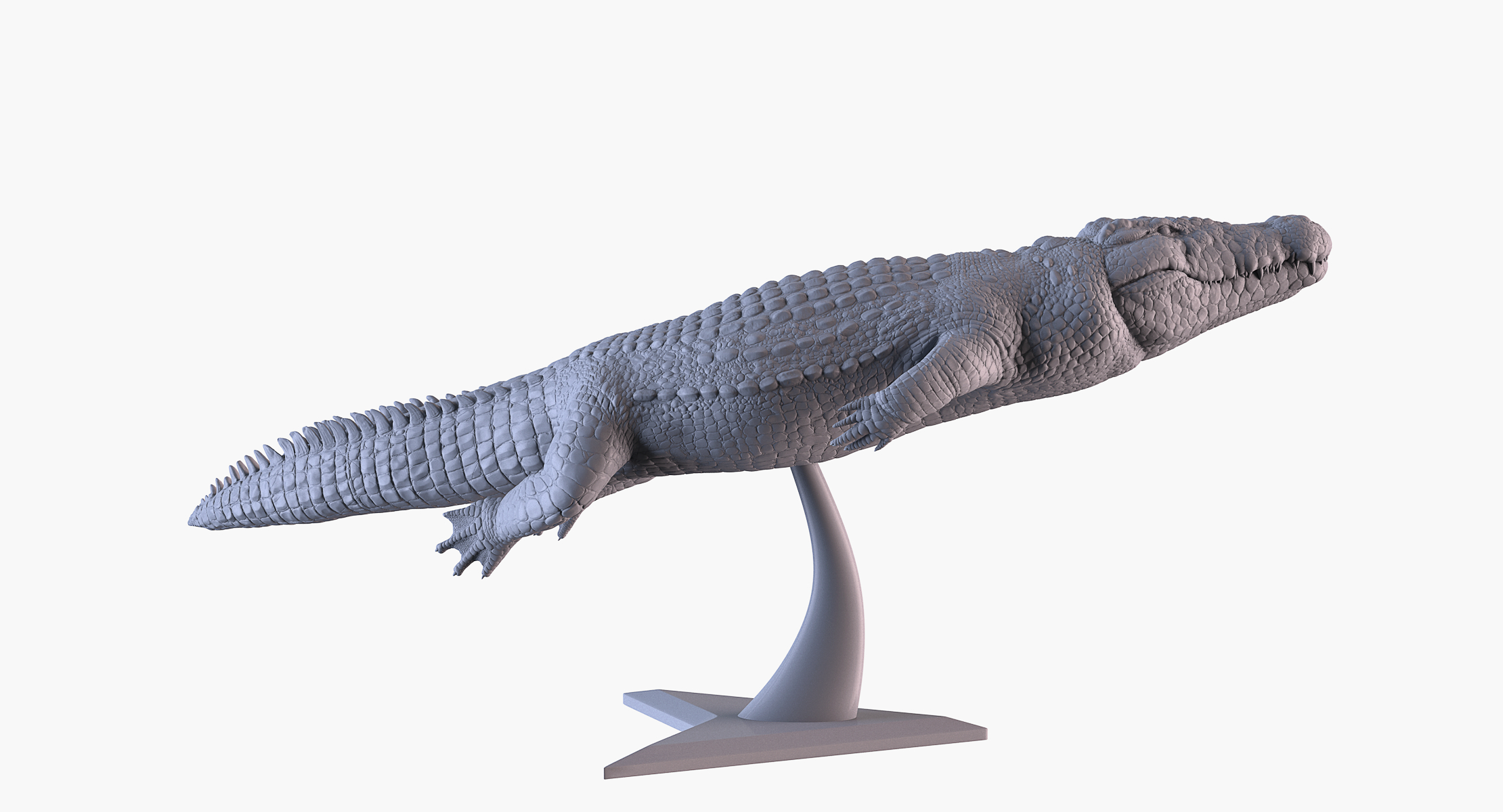 Crocodile printing 3D model - TurboSquid 1647366