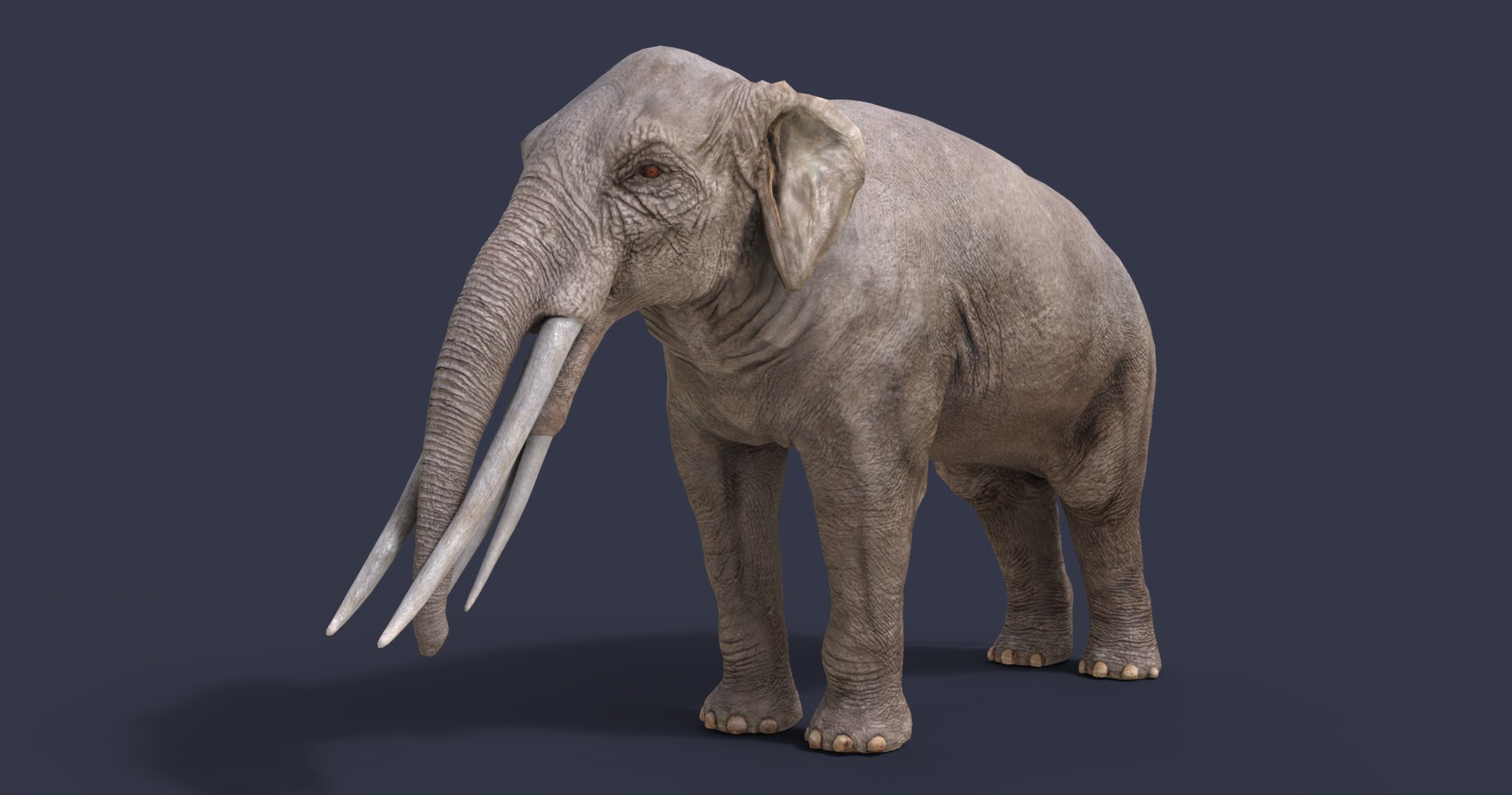 Extinct animals version 13 3D model - TurboSquid 1647544