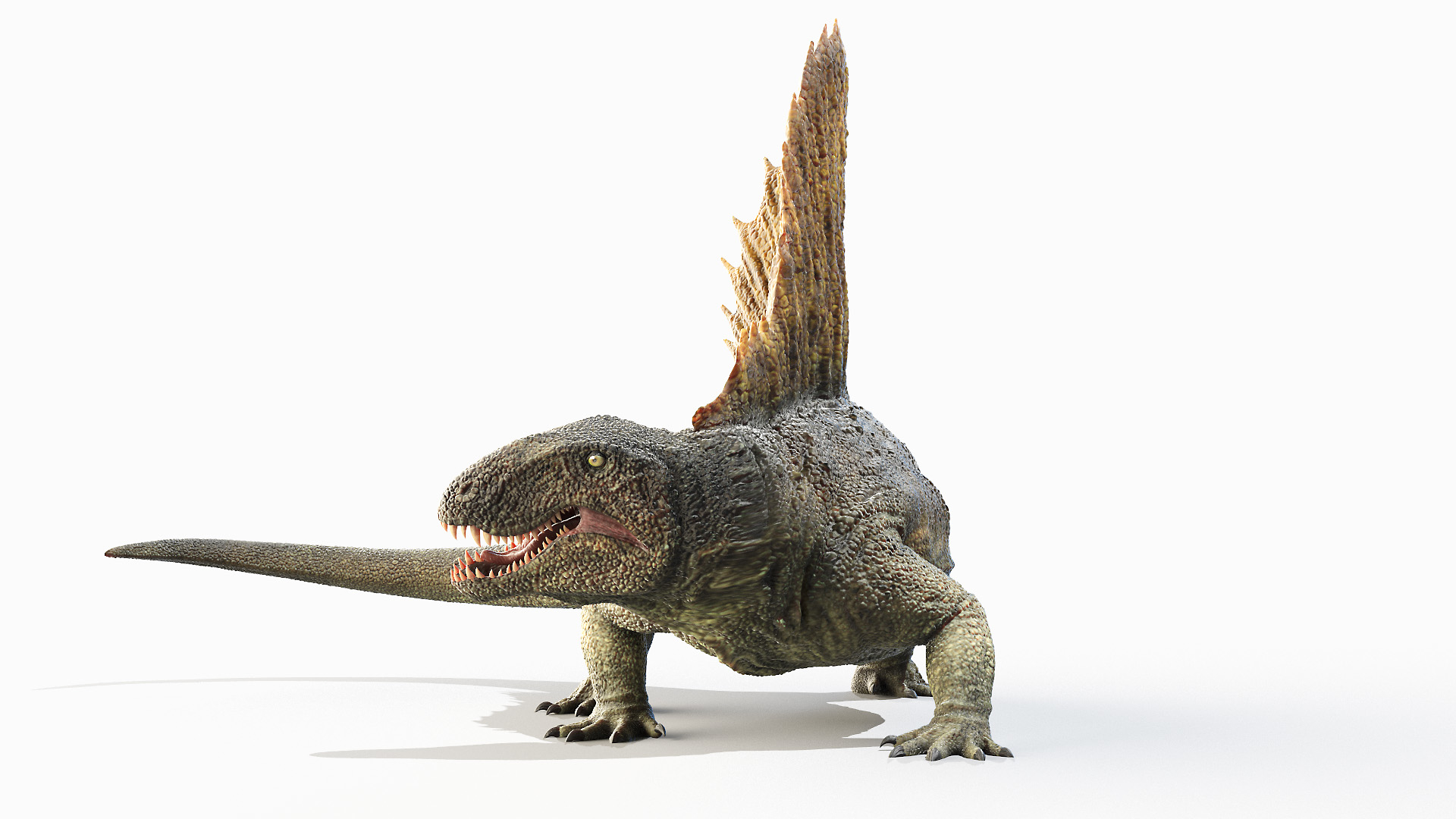 Dimetrodon 3D model - TurboSquid 1647601