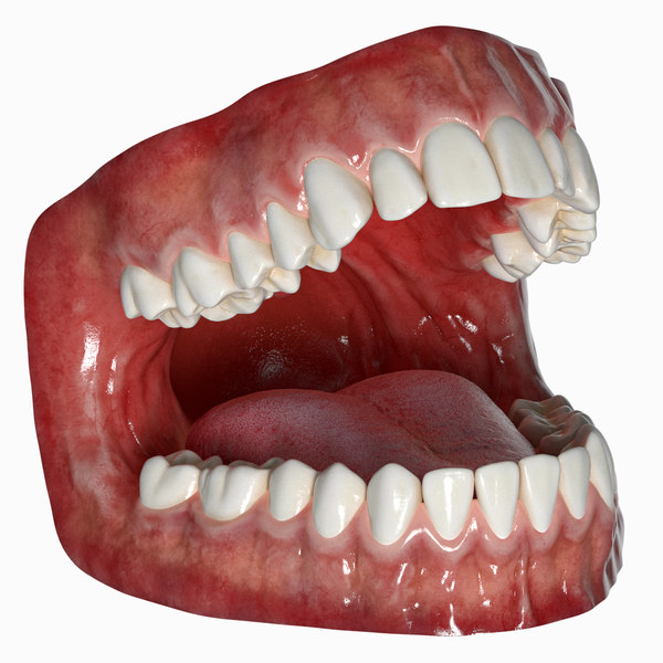 Mouth 3d Models For Download Turbosquid
