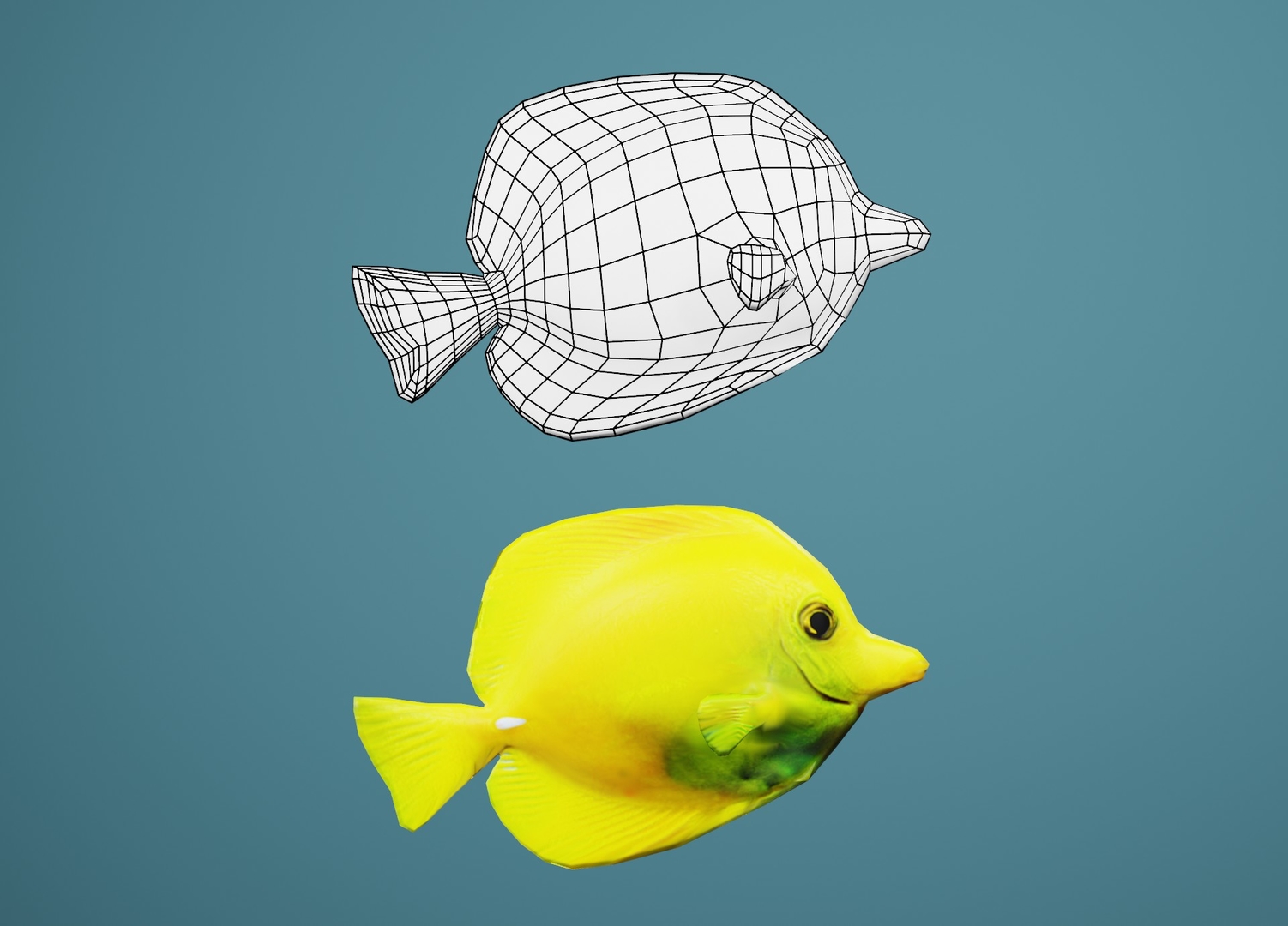 3D model tropical fish swimming animation - TurboSquid 1647593