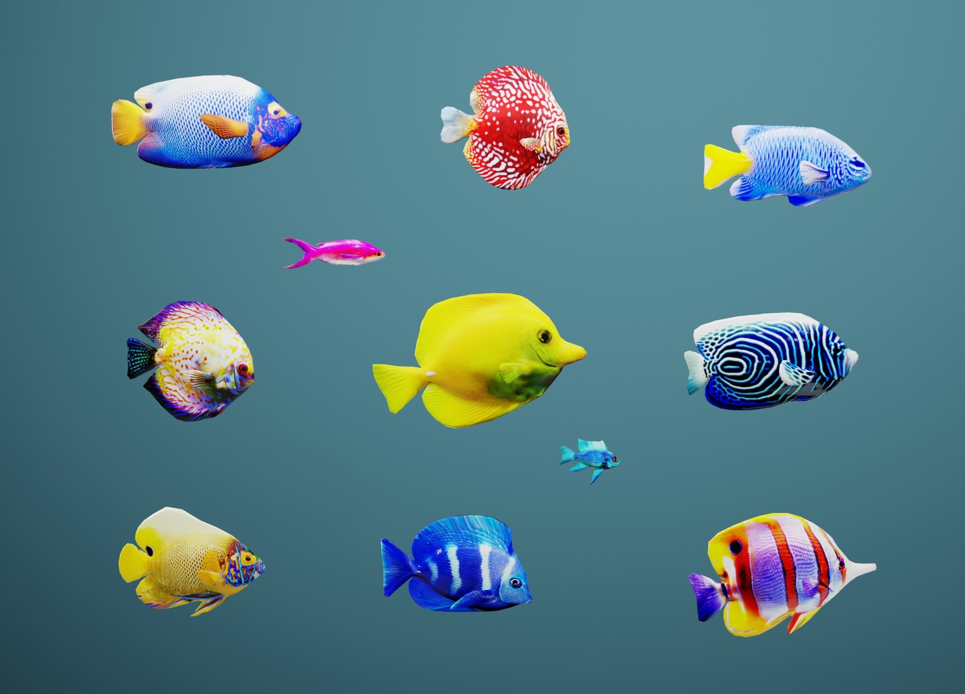3D model tropical fish swimming animation - TurboSquid 1647593