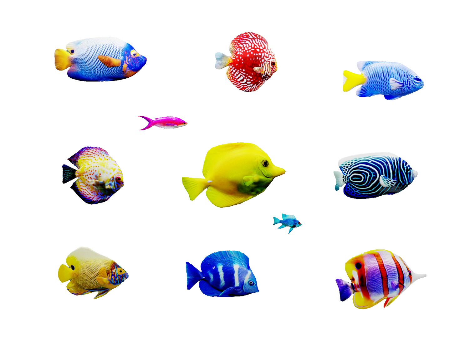 3D model tropical fish swimming animation - TurboSquid 1647593