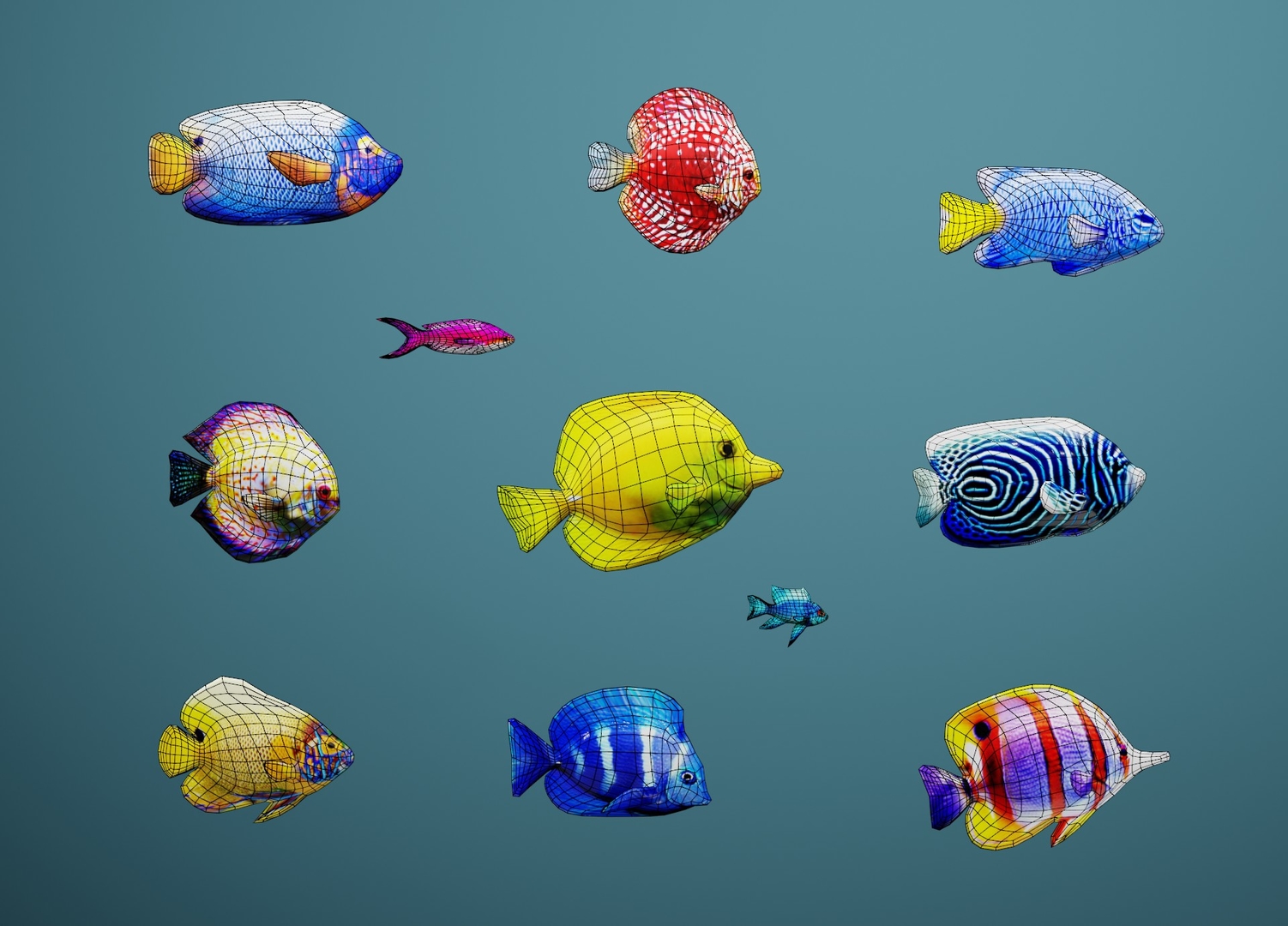 3D model tropical fish swimming animation - TurboSquid 1647593