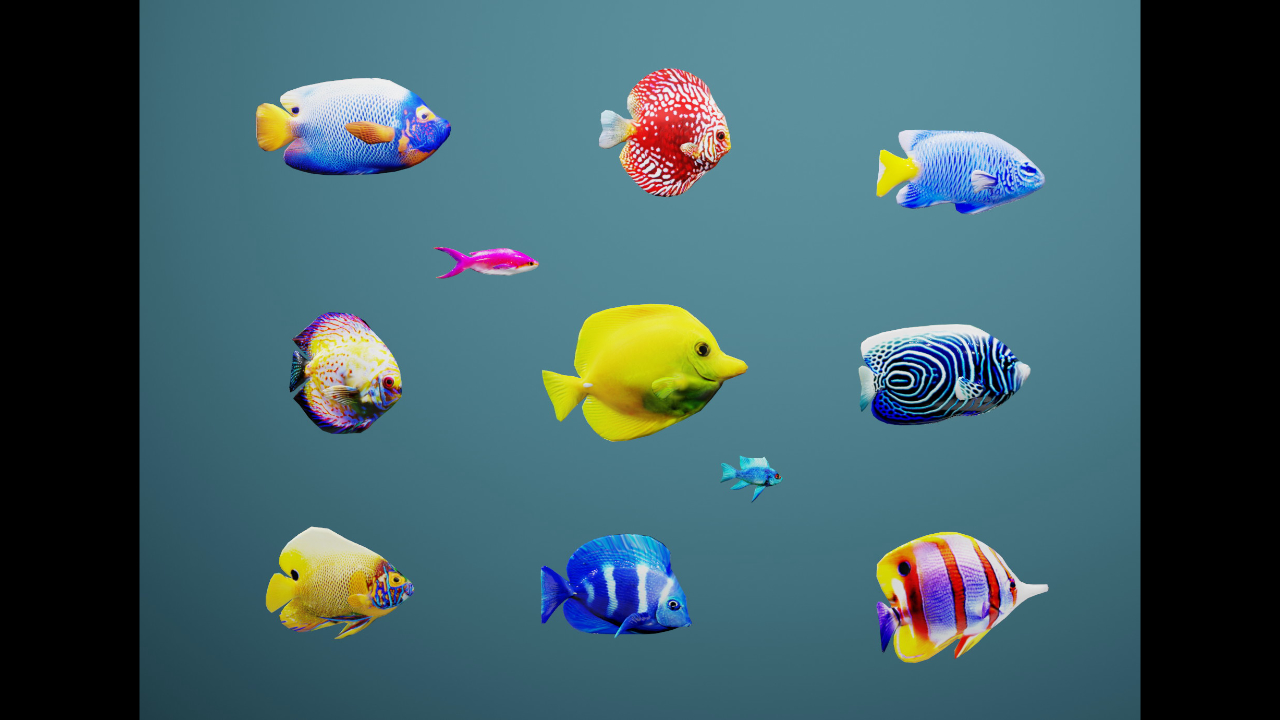 3D model tropical fish swimming animation - TurboSquid 1647593