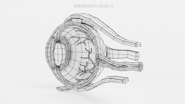Eye cross section 3D model - TurboSquid 1648860