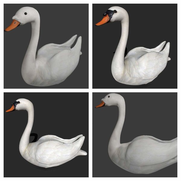 3D Swan Models | TurboSquid