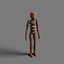Free biped rigged dummy 3D - TurboSquid 1650063