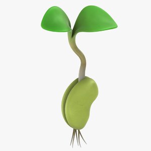 3D Seed Models | TurboSquid
