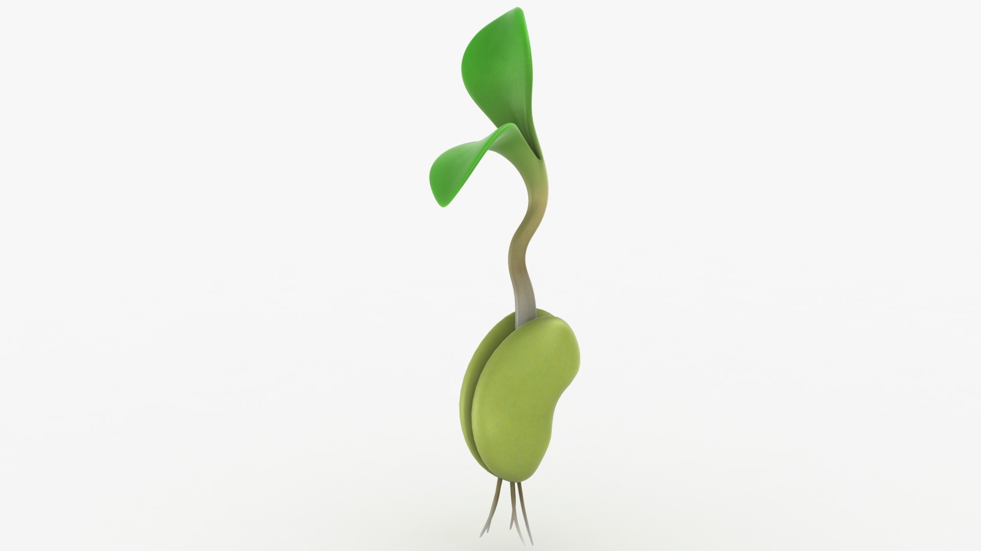 3D model growing seed 02 - TurboSquid 1651538