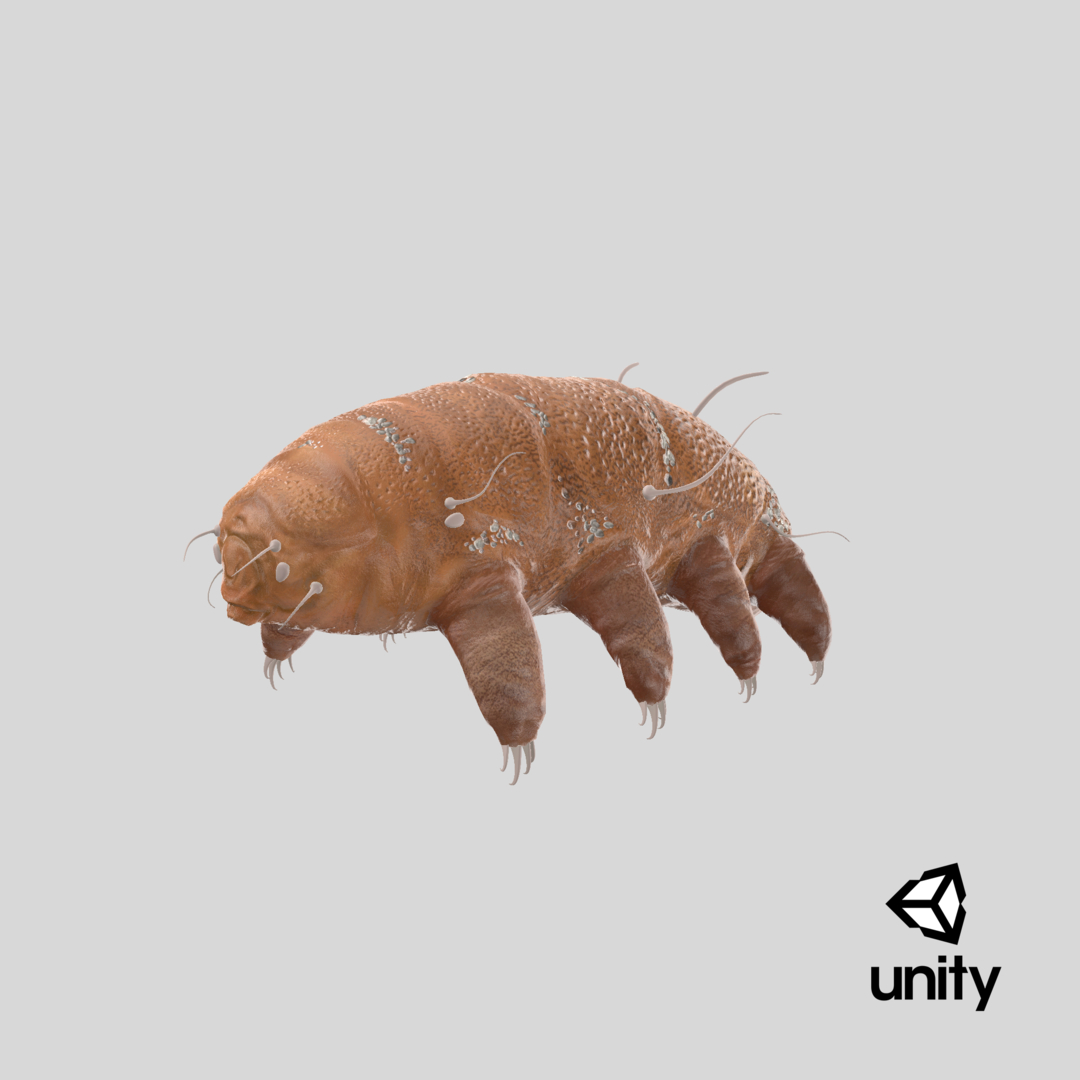 Tardigrade pbr 3D model - TurboSquid 1582265