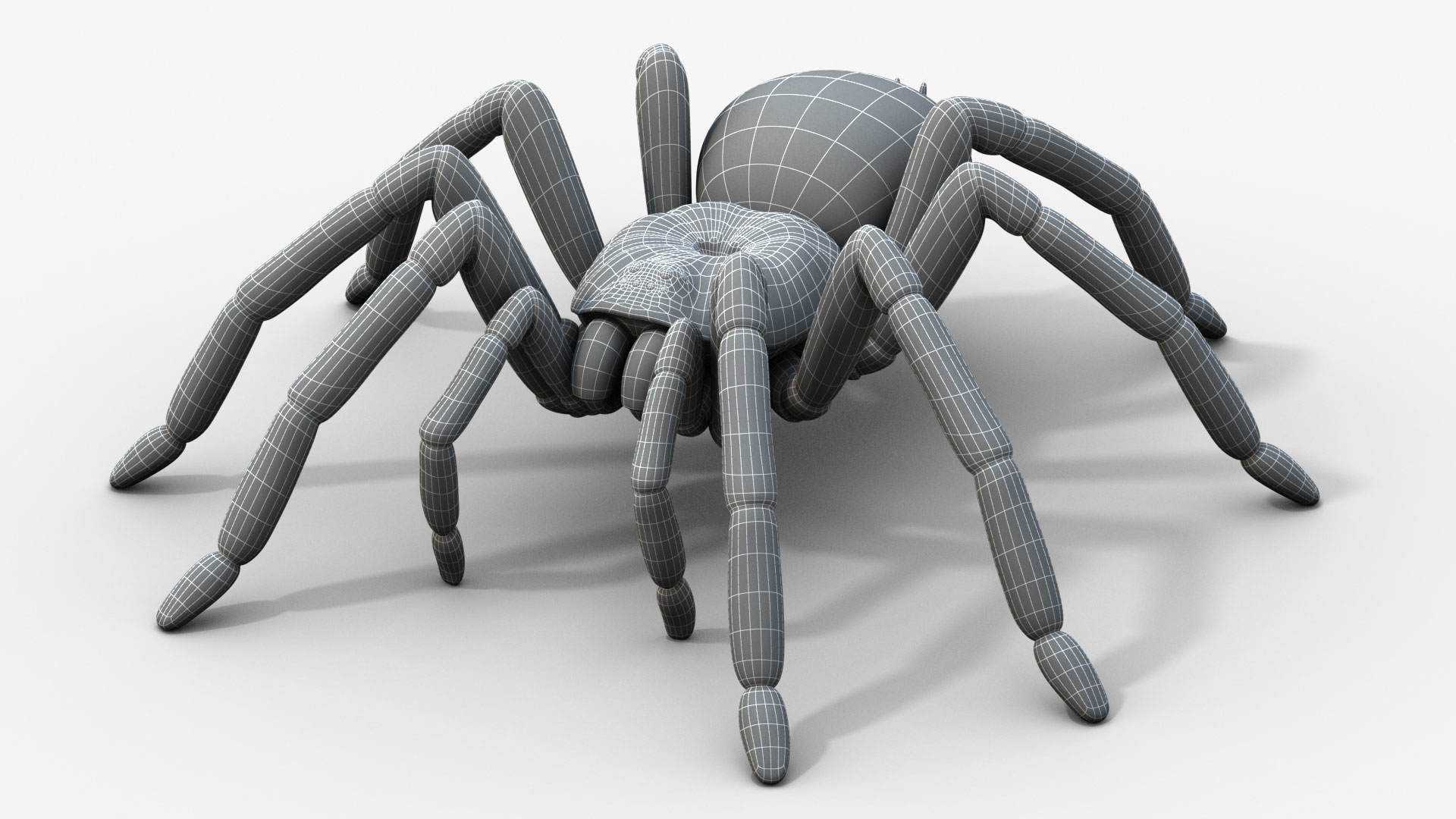 Realistic tarantula animations rig 3D - TurboSquid 1653455