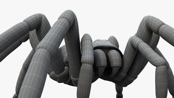 Realistic tarantula animations rig 3D - TurboSquid 1653455