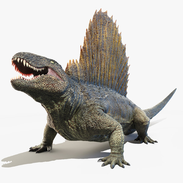 Dimetrodon 3D model - TurboSquid 1647601