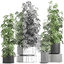 Plant flowerpots cannabis 3D model - TurboSquid 1654611