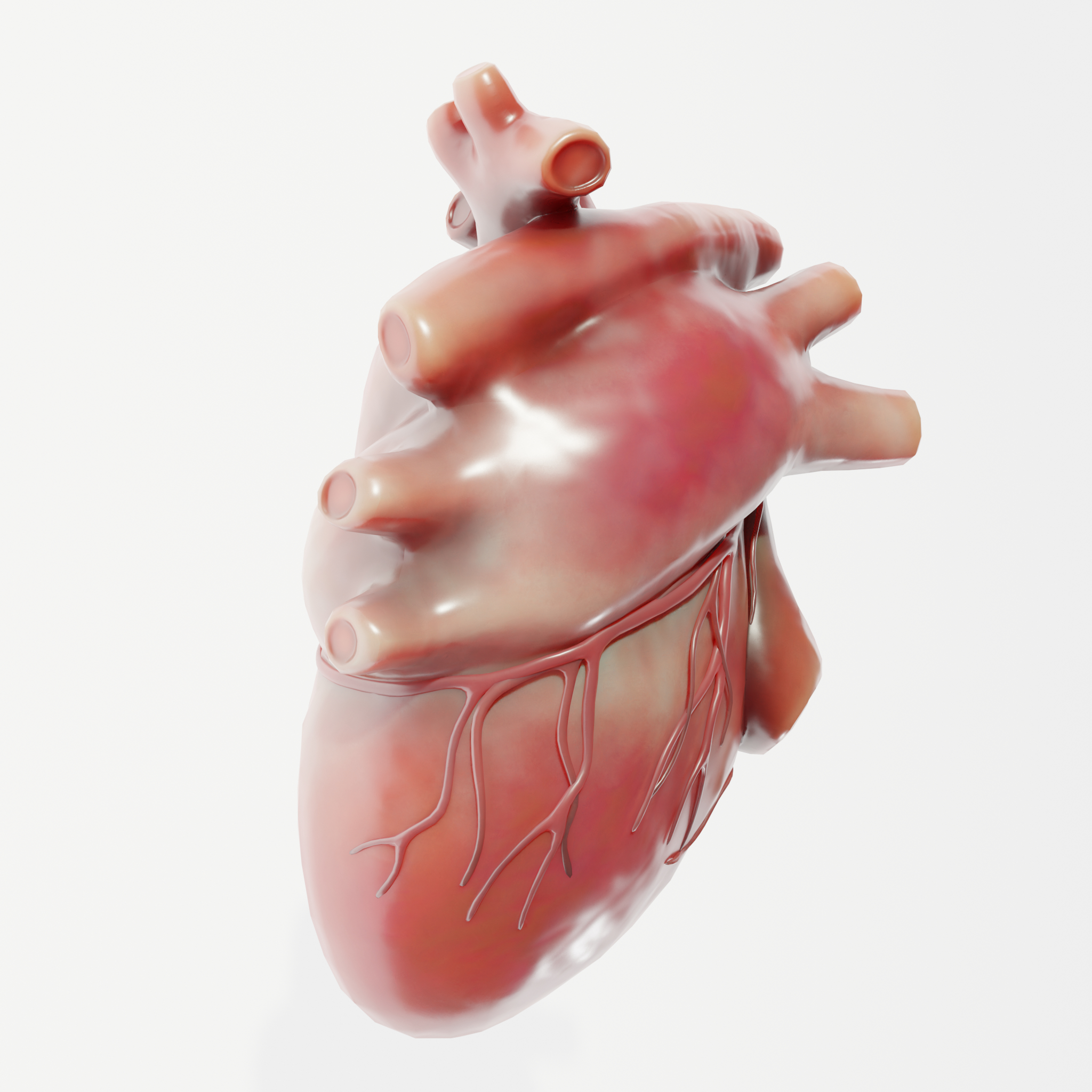 modèle 3D de Cœur humain - TurboSquid 1655064