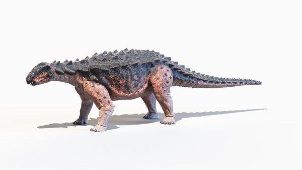 Europelta model - TurboSquid 1655071