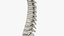 Rigged spine vertebra 3D model - TurboSquid 1655787