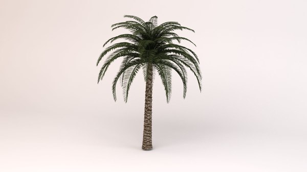 Trees plants 3D model - TurboSquid 1656418