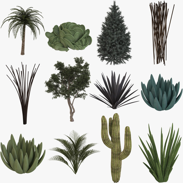 Trees plants 3D model - TurboSquid 1656418