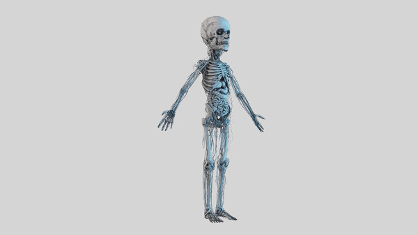 Girl boy kids anatomy model - TurboSquid 1657566