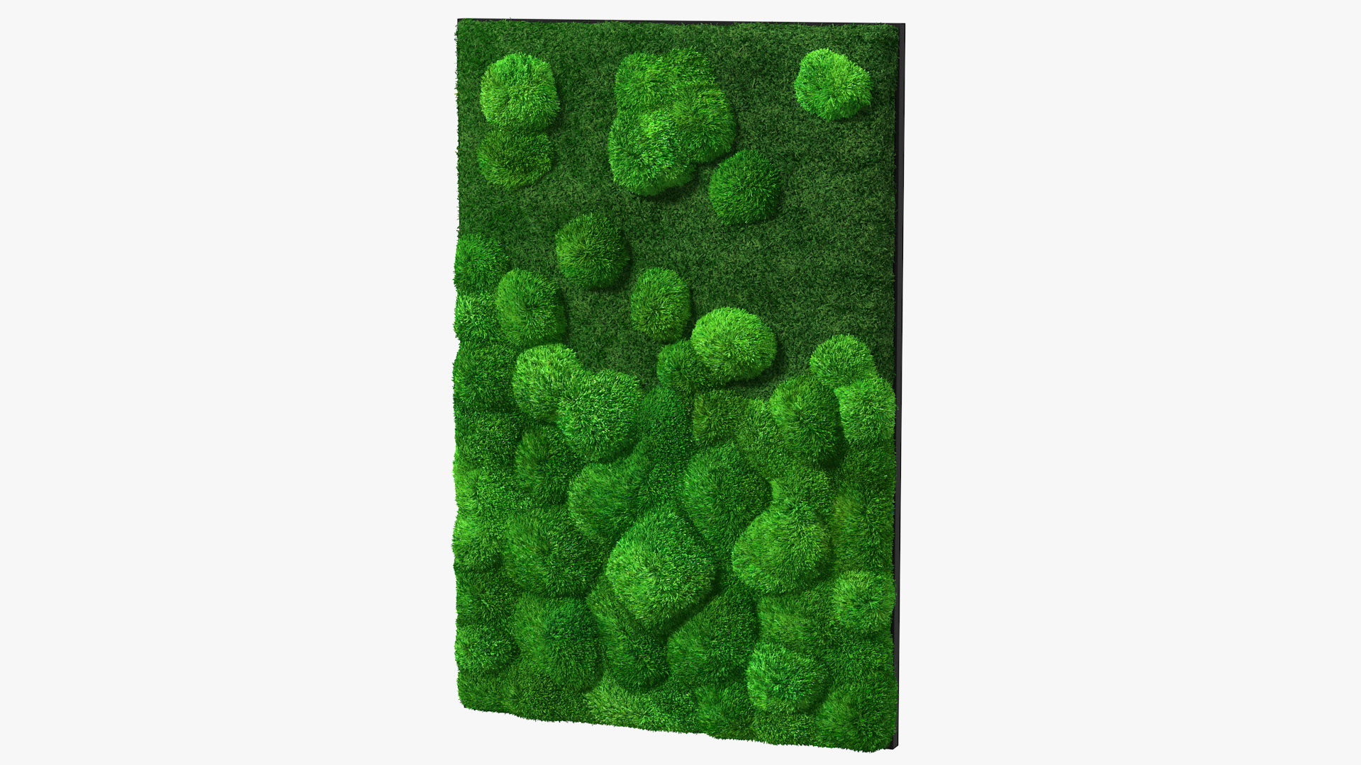 Evergreen moss vertical garden 3D model - TurboSquid 1656953