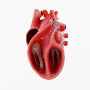 Blender Heart Models | TurboSquid
