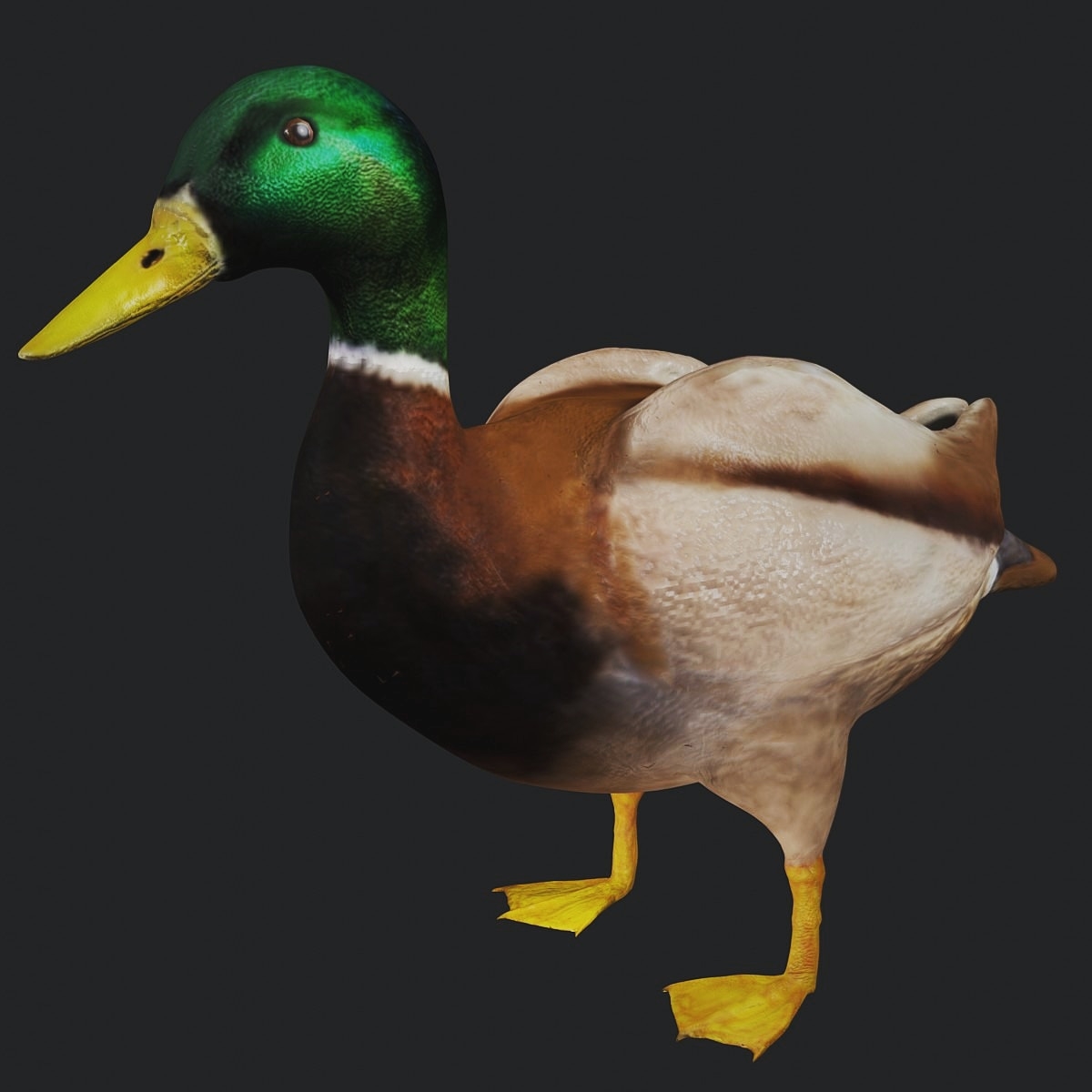 Entenkollektion manipuliert und Low-Poly weiße Ente Stockente 3D-Modell ...