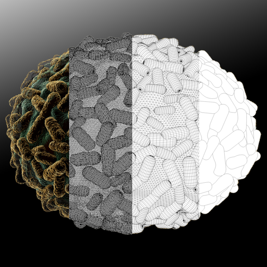 3D poxviridae smallpox - TurboSquid 1657598