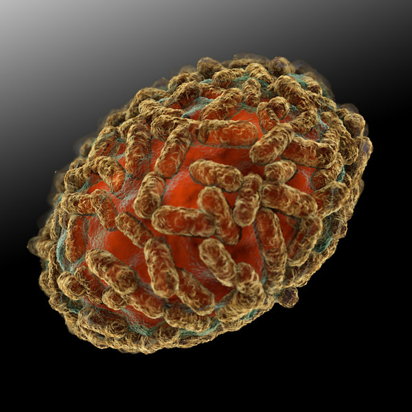 3D poxviridae smallpox - TurboSquid 1657598