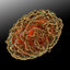 3D poxviridae smallpox - TurboSquid 1657598