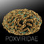 3D poxviridae smallpox - TurboSquid 1657598