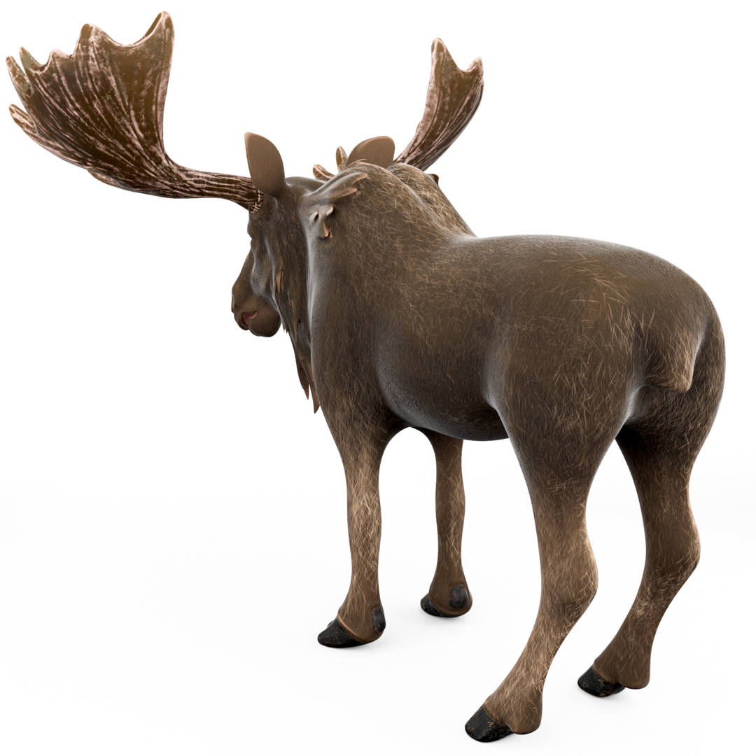Desenho de alce Modelo 3D - TurboSquid 1658119