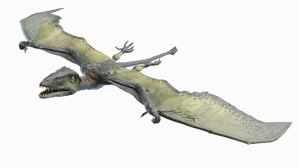 Dimorphodon 3D model - TurboSquid 1659026