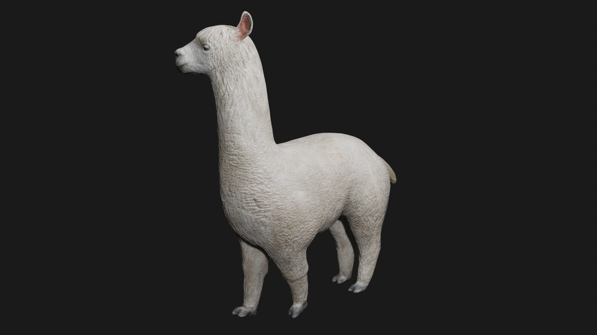 Llama rigged 3D model - TurboSquid 1659093