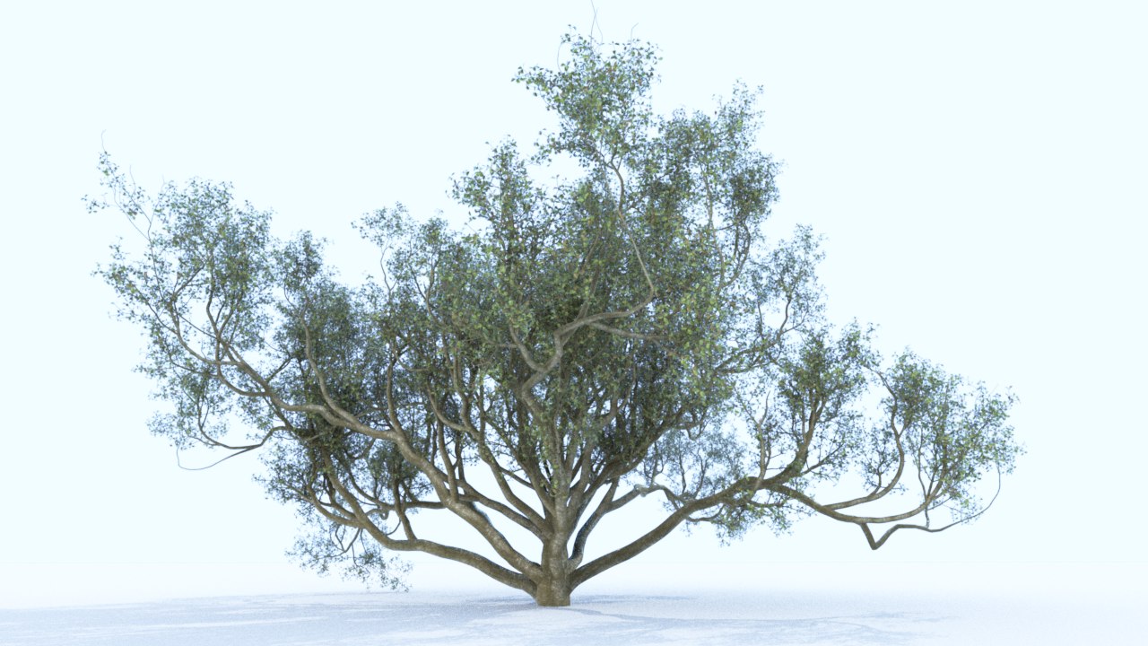 Tree 3D model - TurboSquid 1659470