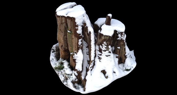Nature snow 3D model - TurboSquid 1659712